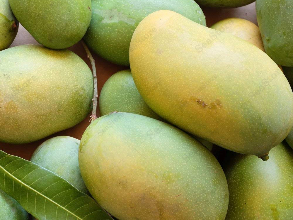 Mango (Rupali) | Sea Store